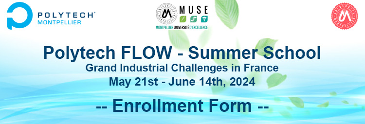 Polytech FLOW Summer School - Enrollment Form